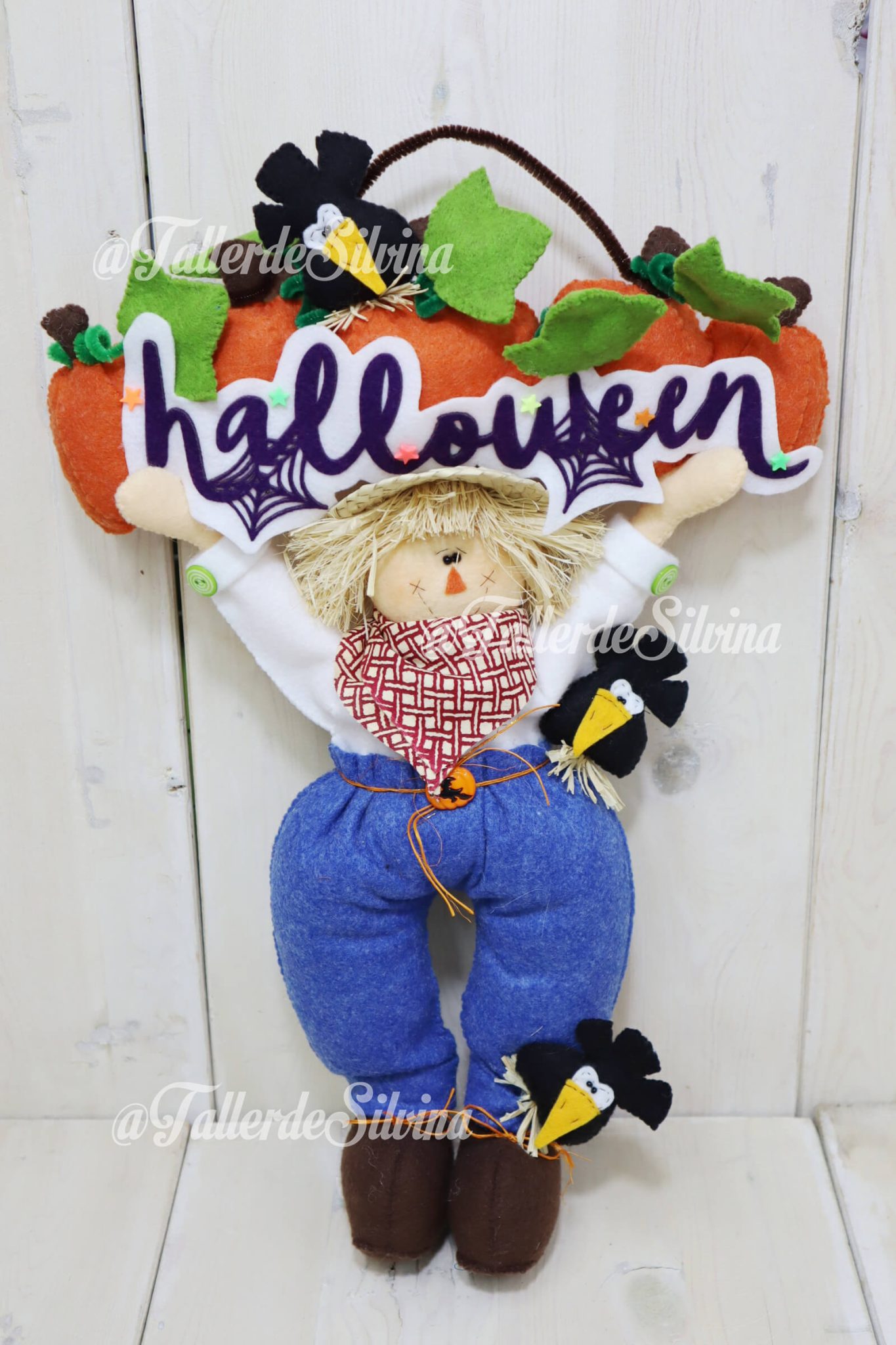 Espantapájaro Robin - taller de silvina manualidades